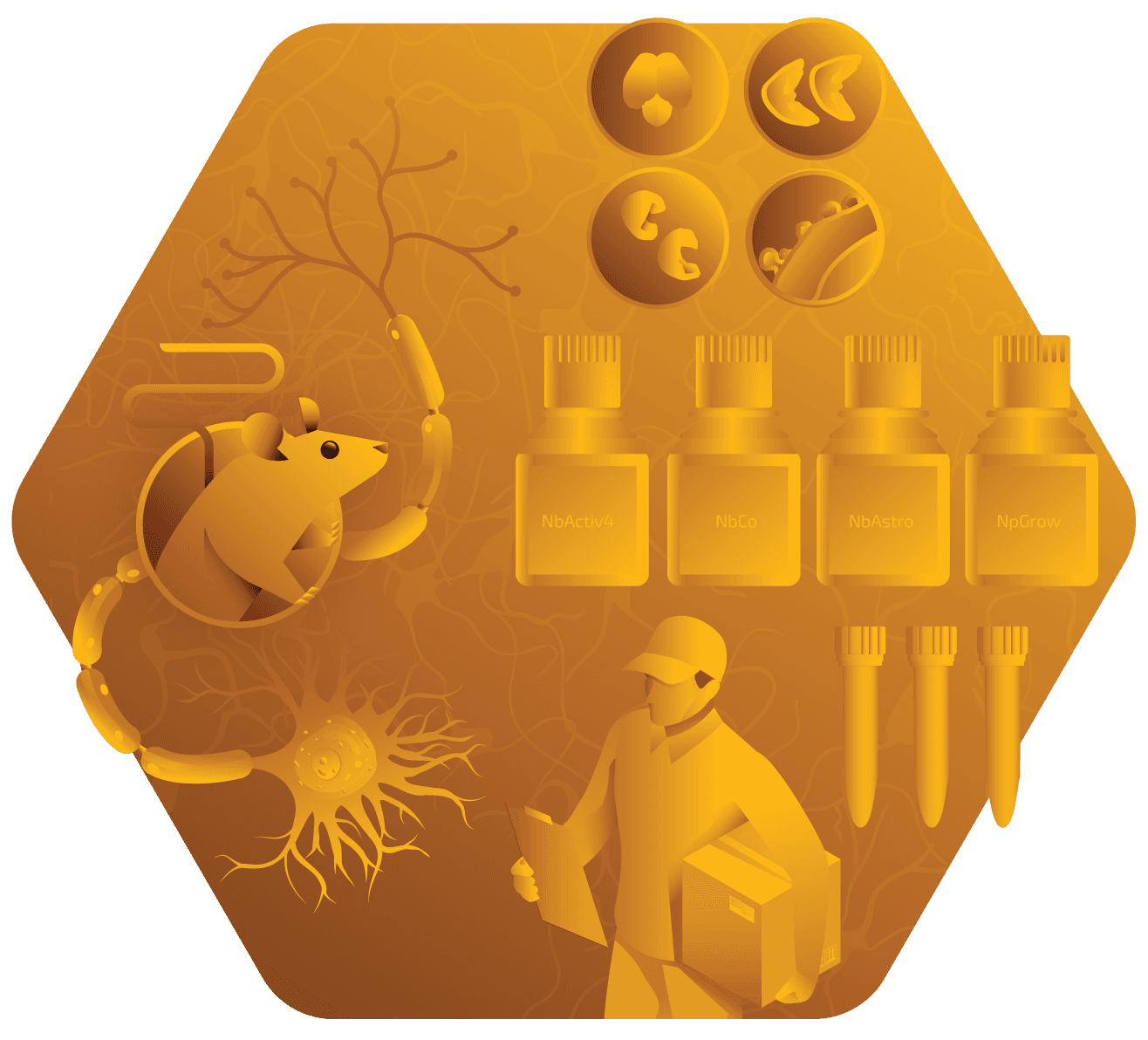 Tissue | Transnetyx